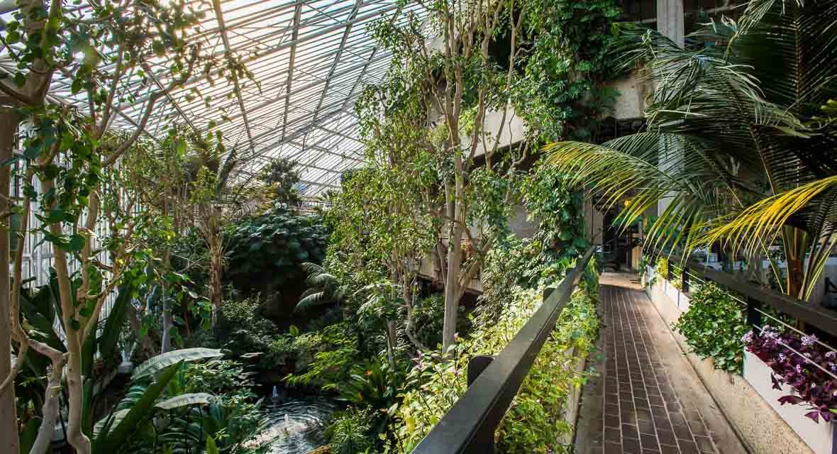 Top 5 places to feel inspired in London | Native Places