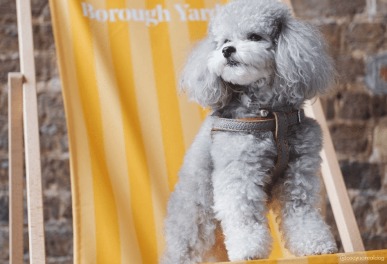 Native Bankside Serviced Apartments | Aparthotels London Bridge