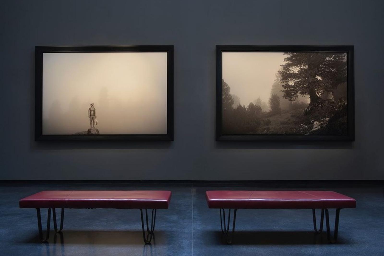 Hamiltons Gallery | Native Places